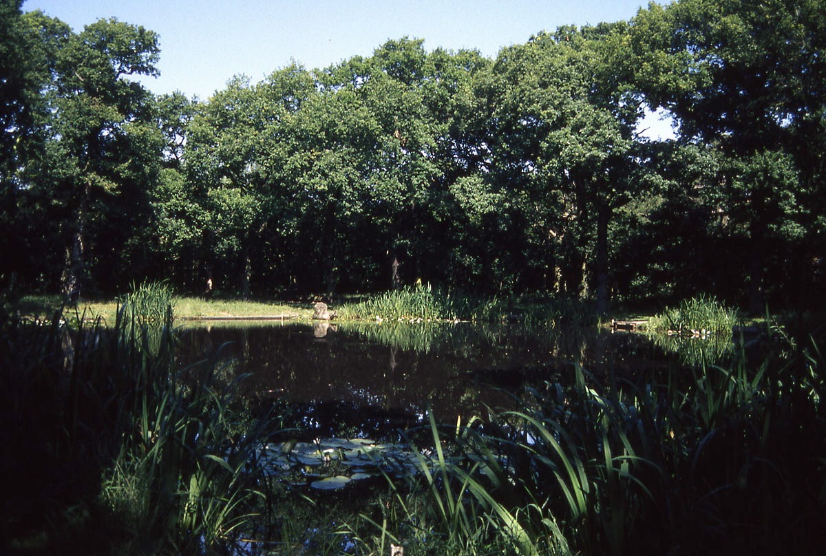 Runcorn Hill Park | Visit Halton